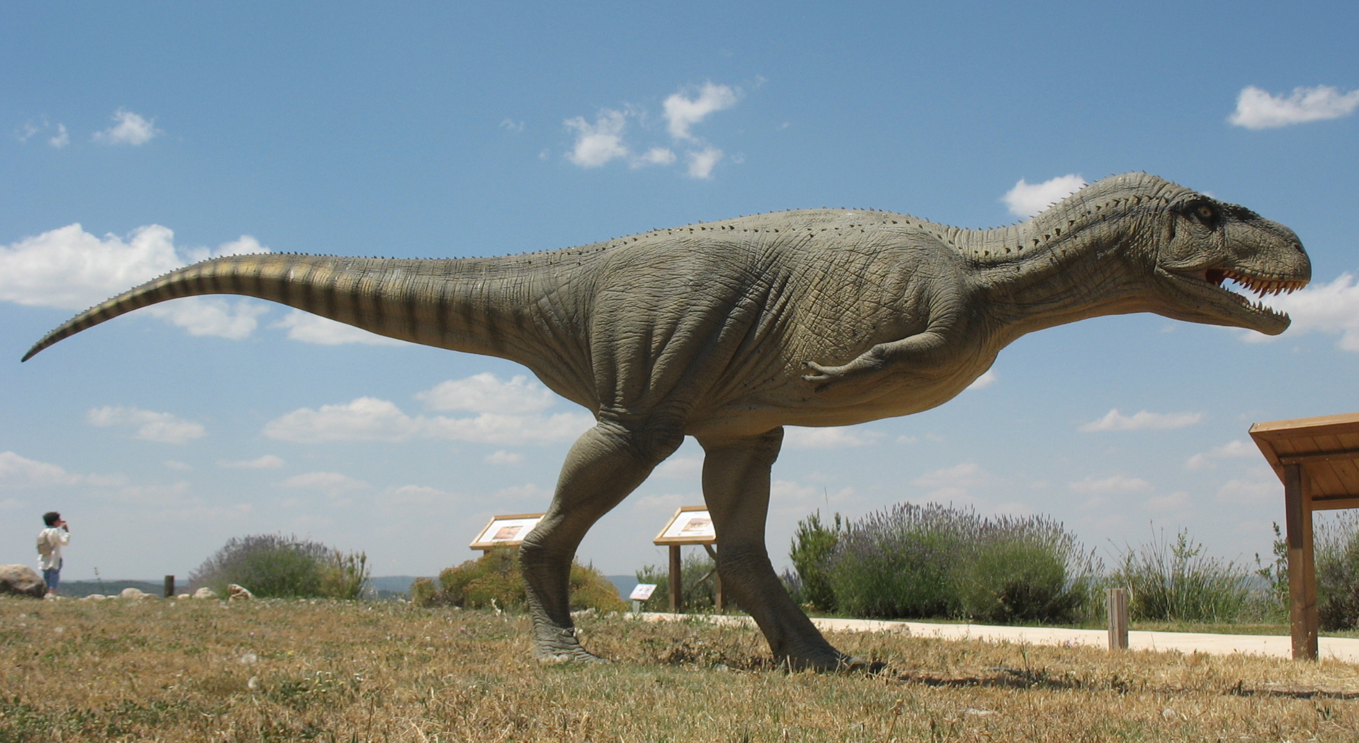 Archivo: Abelisaurus model - Castilla-La Mancha Paleontological Museum ...