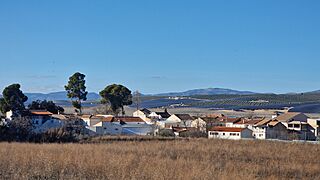 Trasmulas para Niños