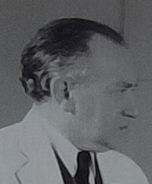 Kurt Goldstein para Niños