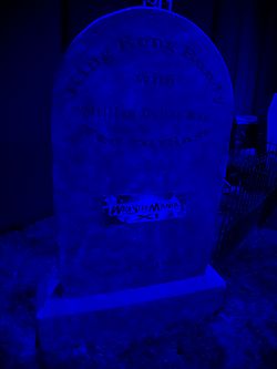 WrestleMania XI para Niños