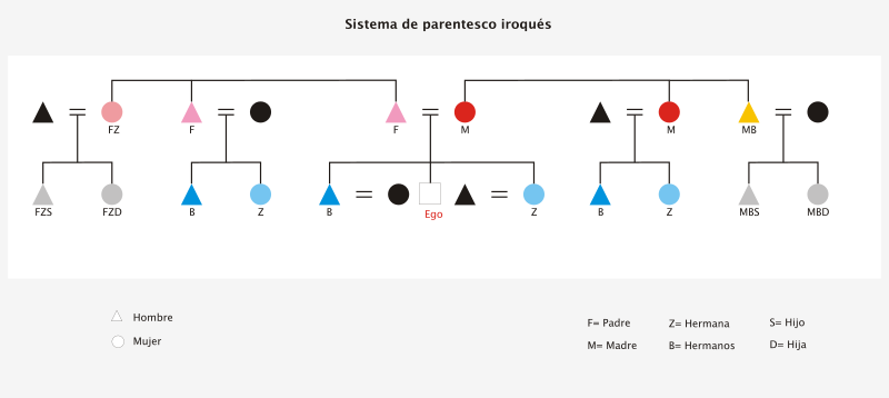 Sistema iroqués de parentesco para Niños