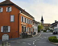 Bursinel para Niños