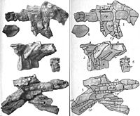 Nodosaurus textilis para Niños