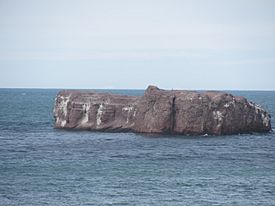 Isla Castillo para Niños