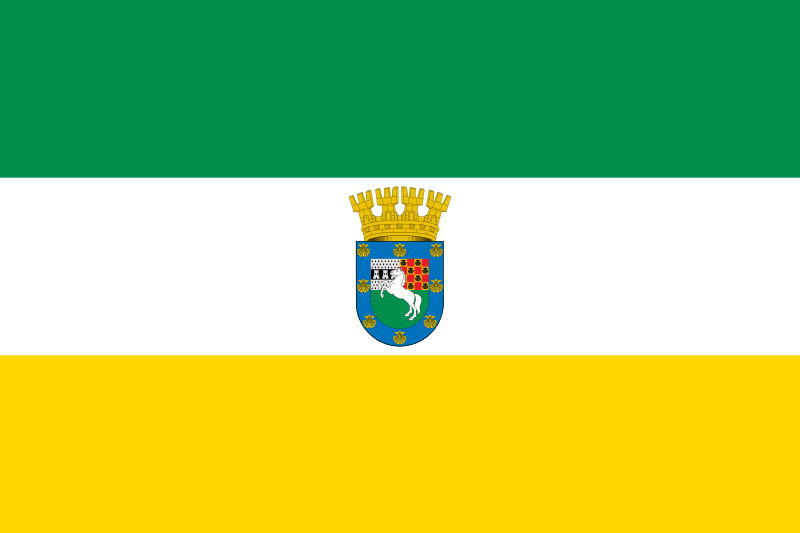 Archivo: Bandera de La Pintana