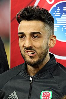 Neil Taylor para Niños