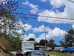 Naranjo (Aguada) para Niños