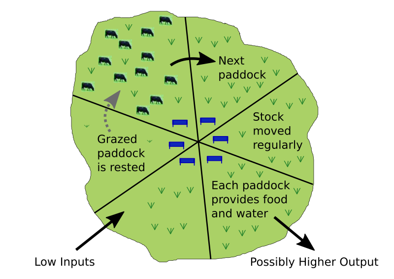 Archivo: Grazing, rotational