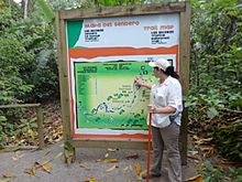 Cerro San Gil para Niños