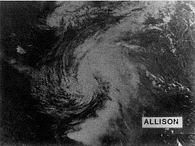 Tormenta tropical Allison (1989) para Niños