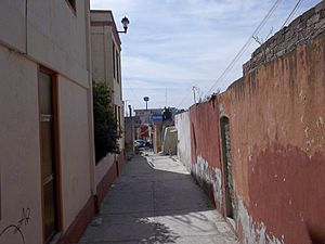 Zumpango de Ocampo para Niños