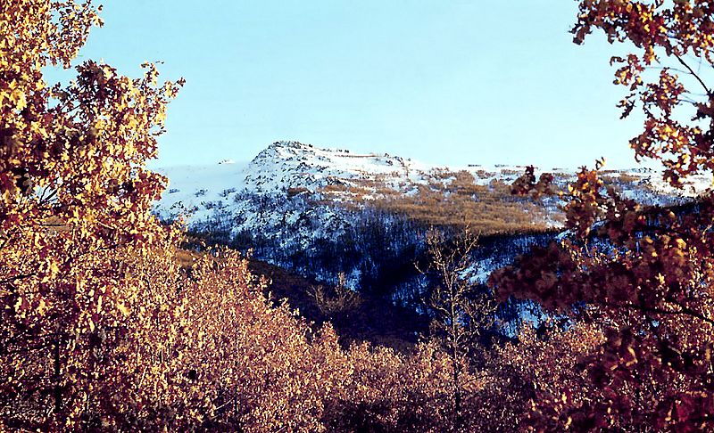 Archivo: Sierra de Ayllón, invierno 1975 13