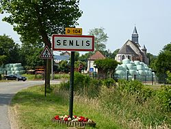 Senlis (Paso de Calais) para Niños