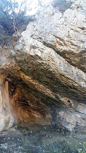 La Covacha de Llatas para Niños