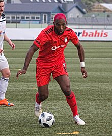 Ryan Babel para Niños